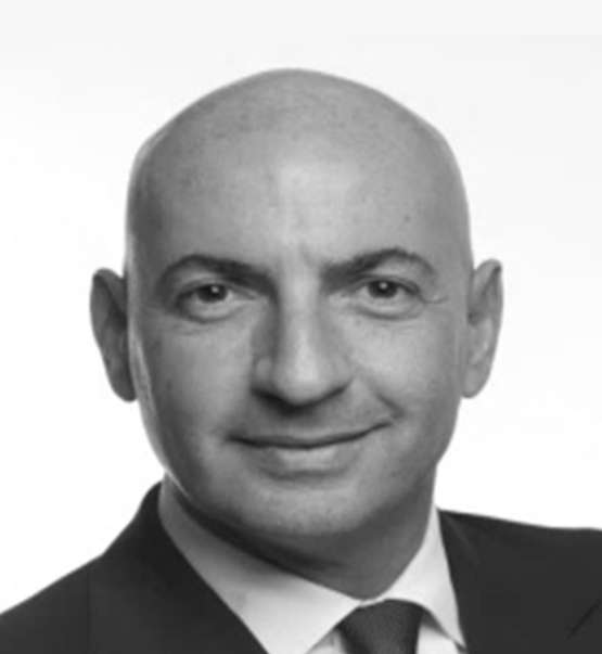 Team Archive - Tree Capital